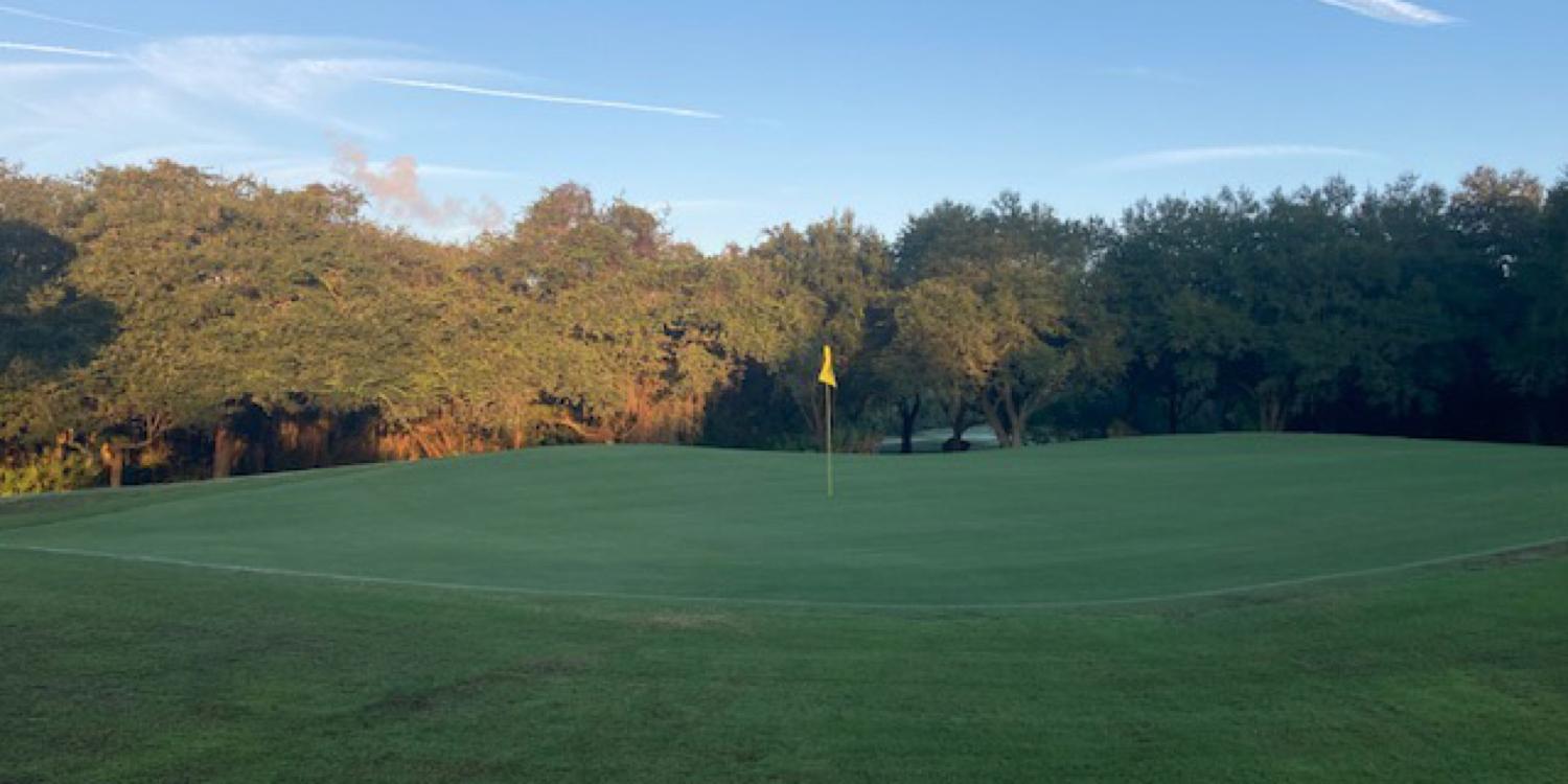 Halifax Plantation Reopening After Installation New Champion Bermuda ...