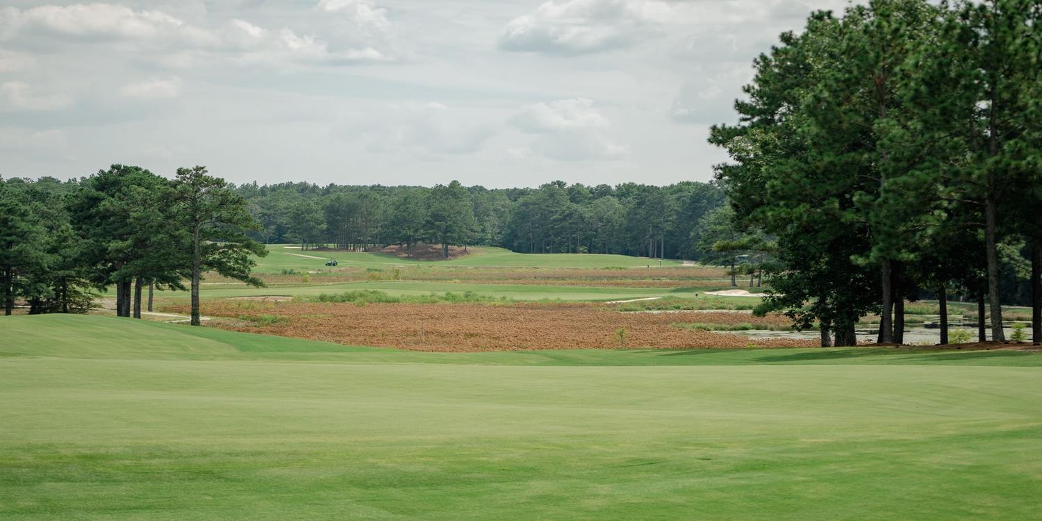 Southeastern Golf Swing 2023 By Shane Sharp