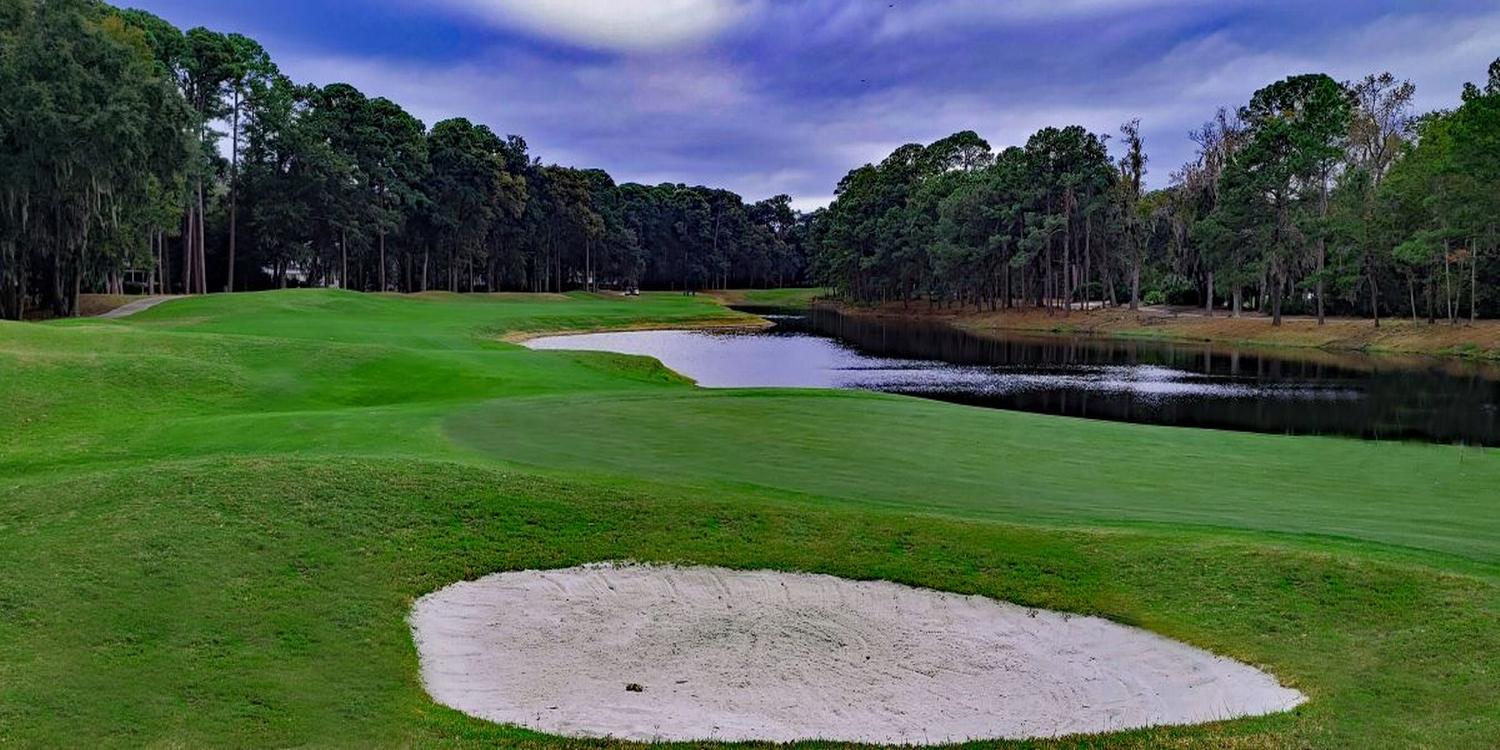 Palmetto Hall Golf and Country Club By David Theoret