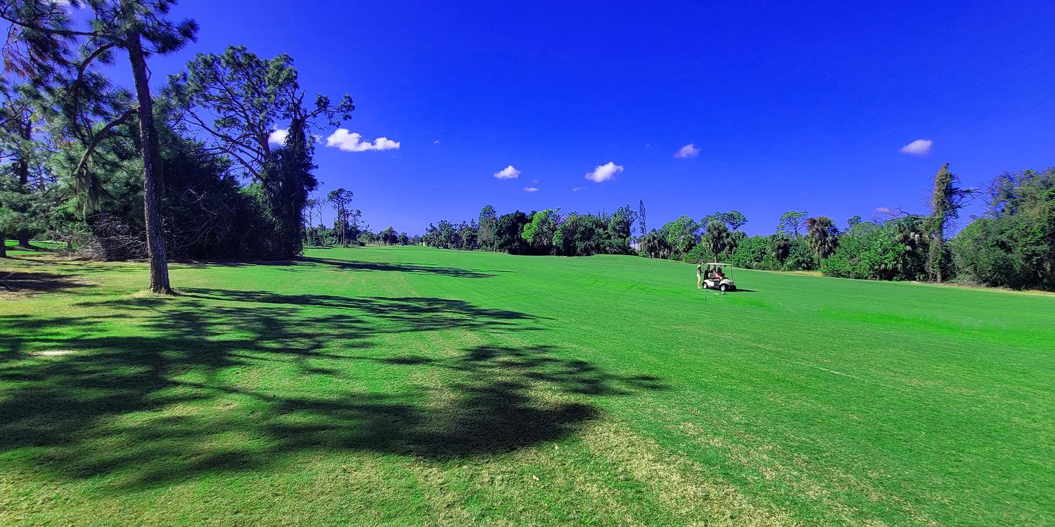 Rotonda Golf & Country Club By David Theoret