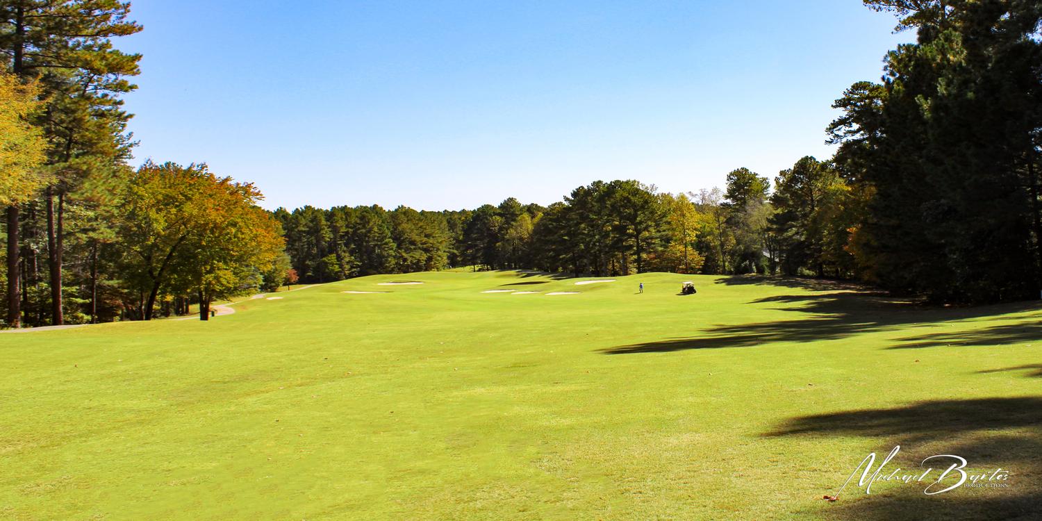 Stonebridge Golf Course By David Theoret