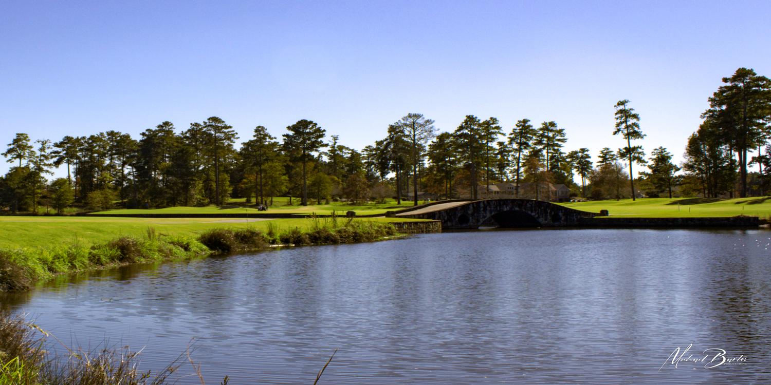 Stonebridge Golf Course By David Theoret