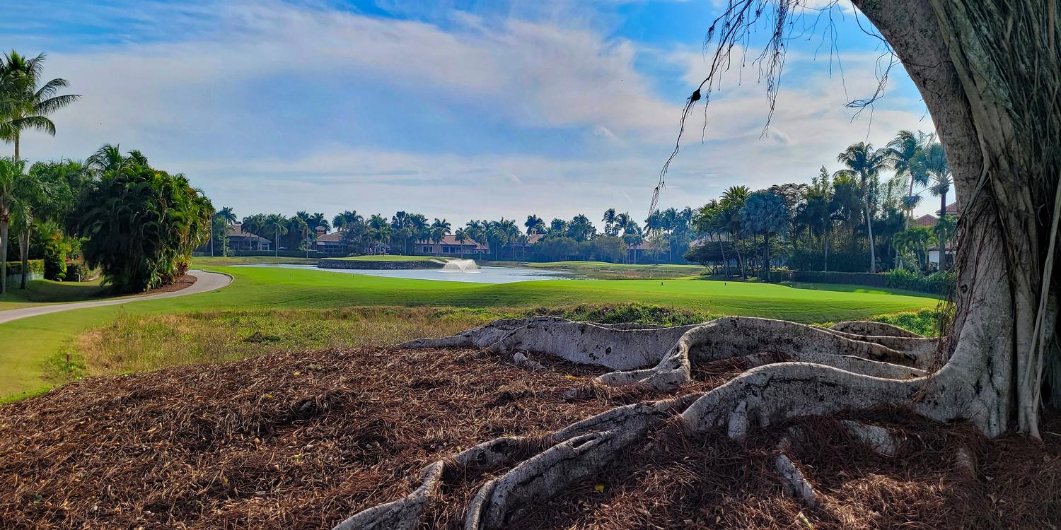 The Club at Ibis By David Theoret